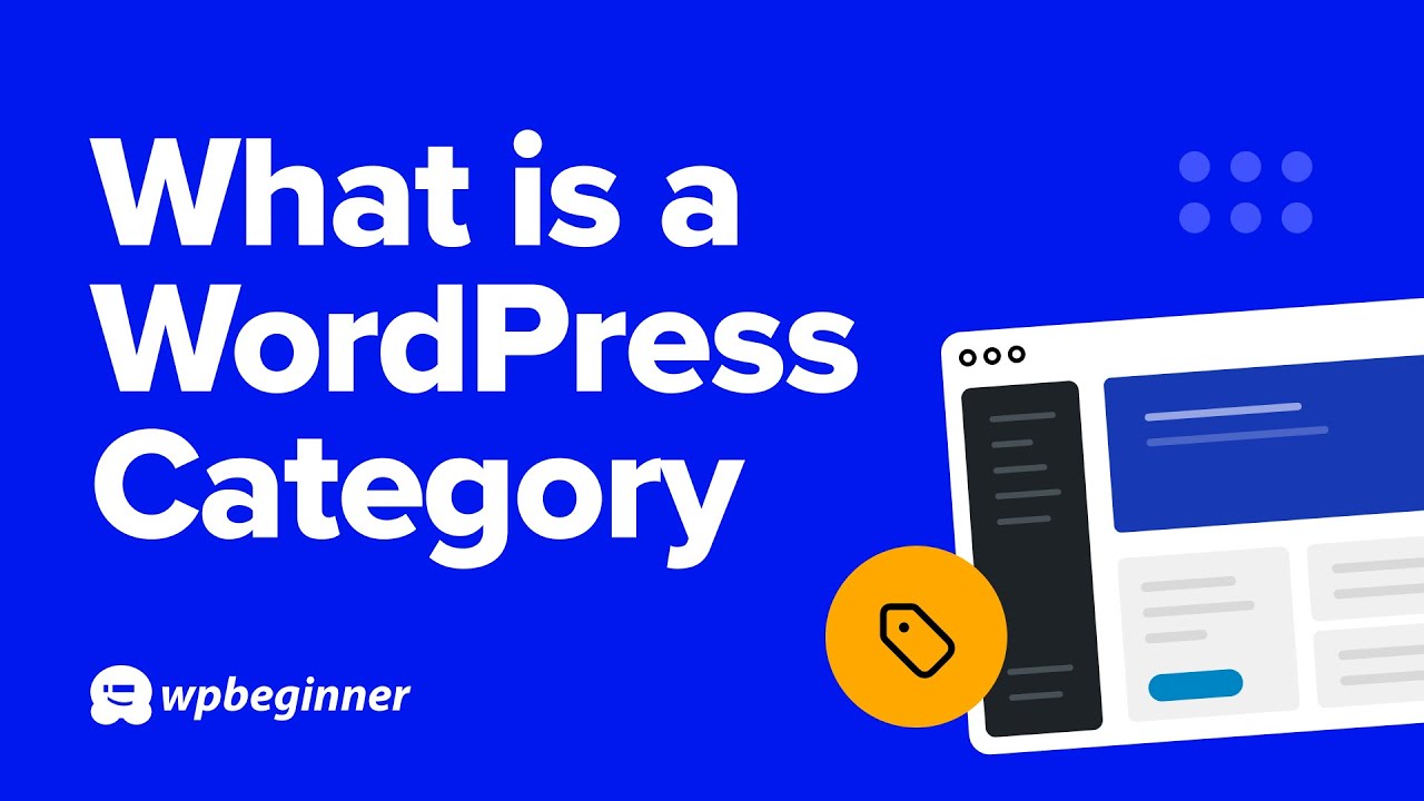 What Are Categories On WordPress & How To Use Them | Studyonboard.com