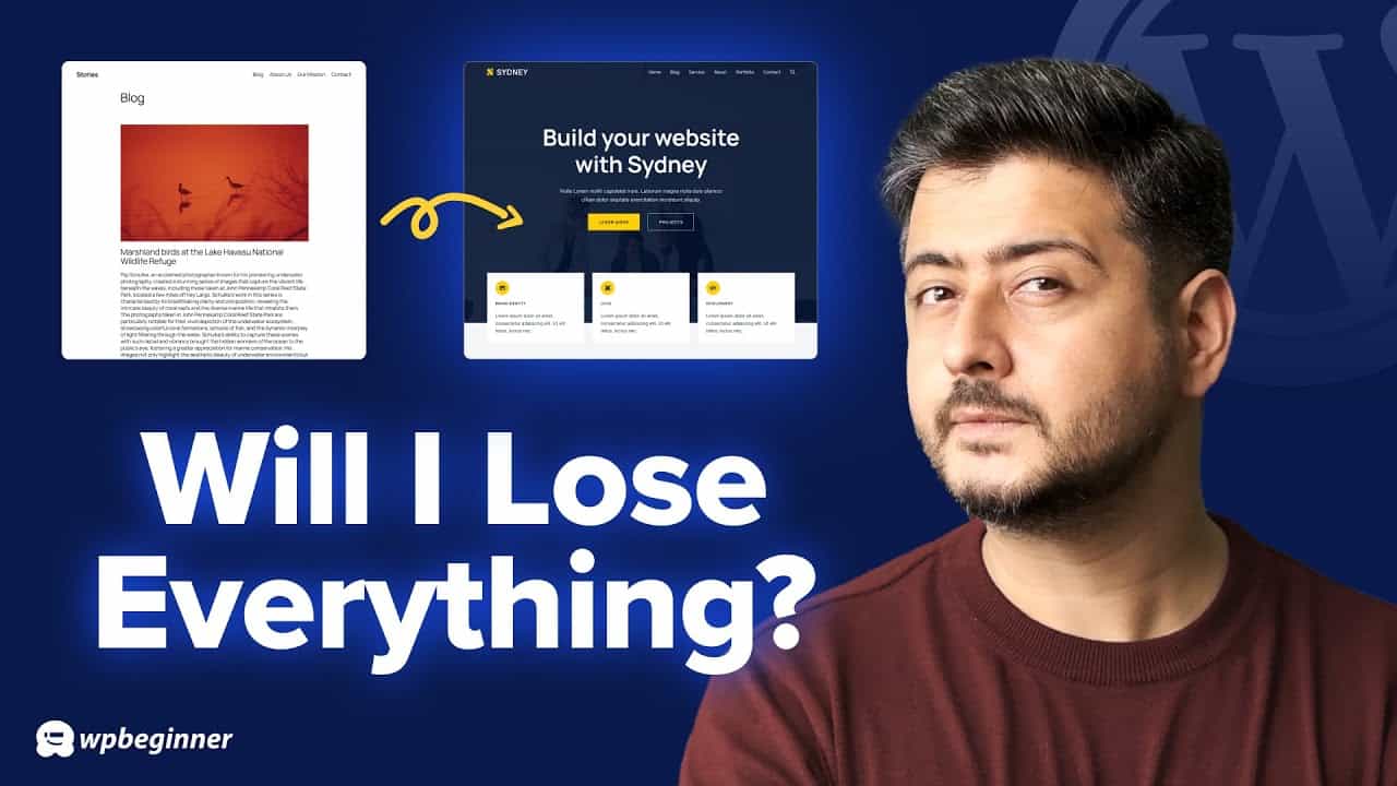 What Happens When You Change Your Website Theme? | Studyonboard.com